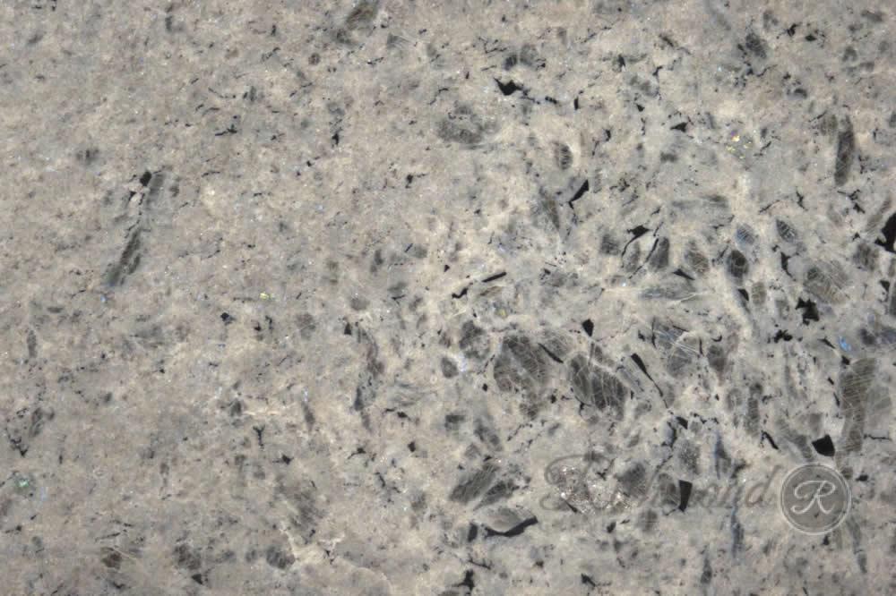 Labrador White Polish - Richmond Stone